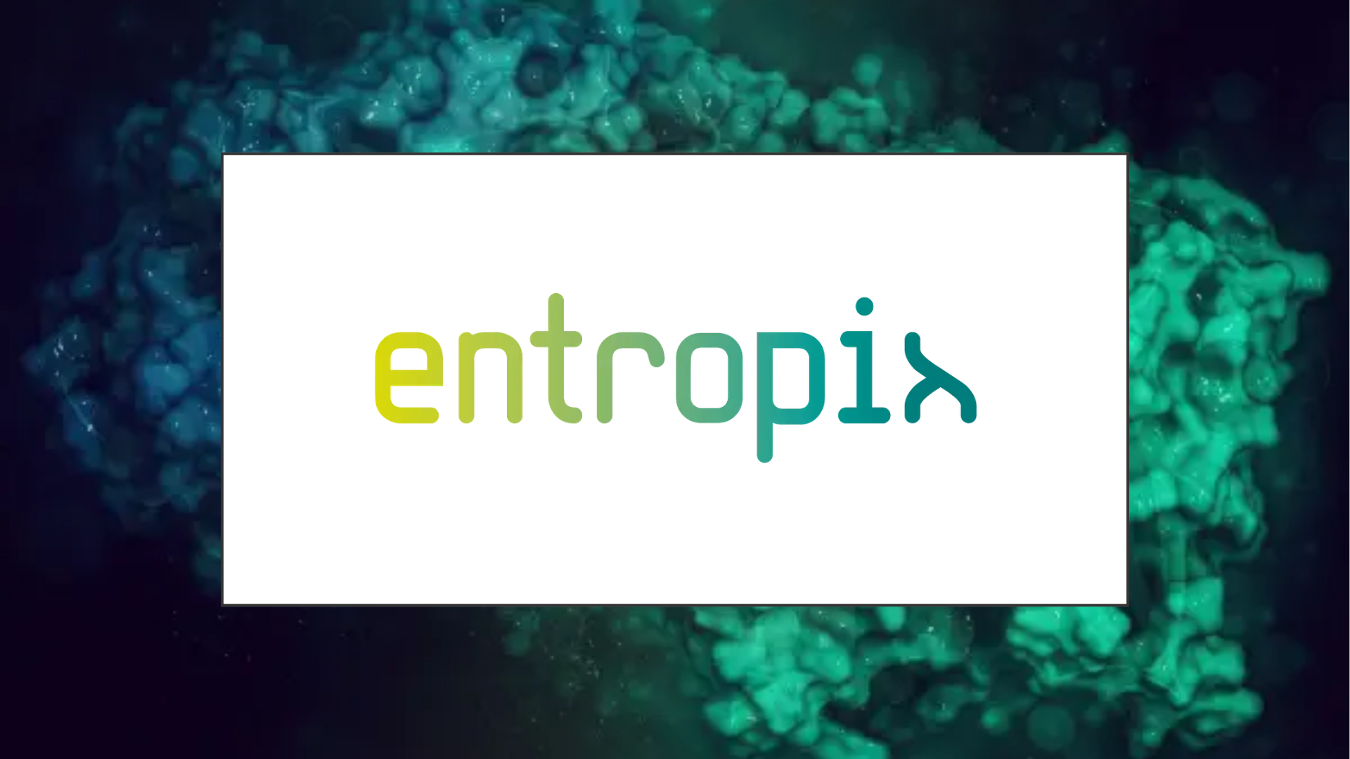 Entropix's CEO, Rob Rule, speaks to LYVA Labs about support, investment, and networks